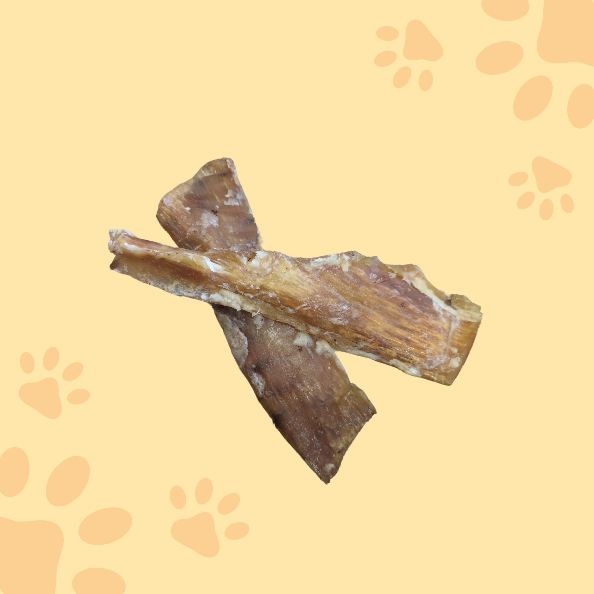 Tendon de bœuf 30cm – La maison des zanimo